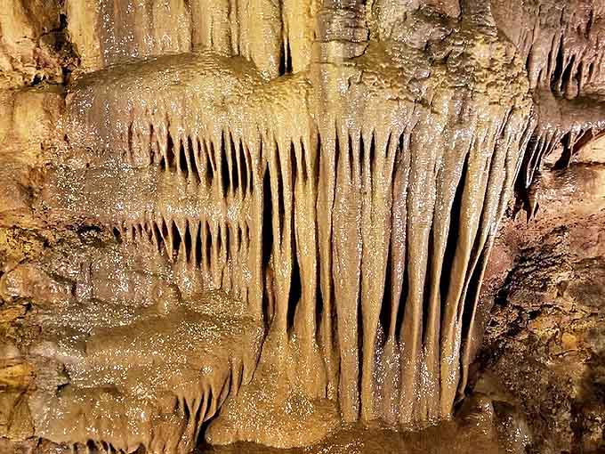 Nature's pipe organ: These delicate limestone formations resemble organ pipes, created one mineral-laden drop at a time over countless centuries.