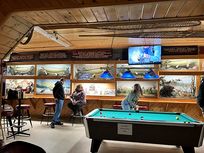 A wall of meticulously preserved fish specimens showcases local fishing heritage, including some impressive record catches from nearby lakes.