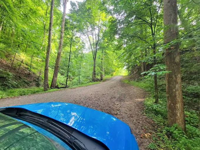 Road: The approach to King's Hollow winds through verdant Ohio woodland, building anticipation with every curve and dappled shadow.