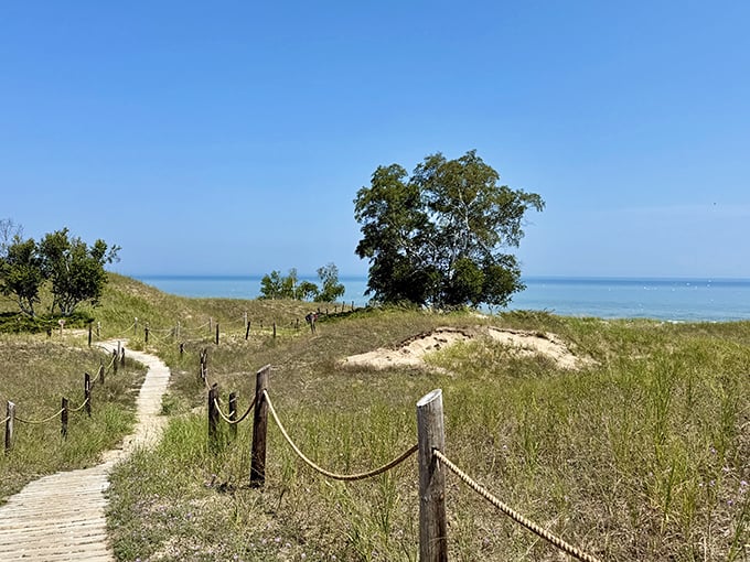 Rolling dunes stand sentinel against the horizon, their grassy crowns waving gently in the lake breeze.