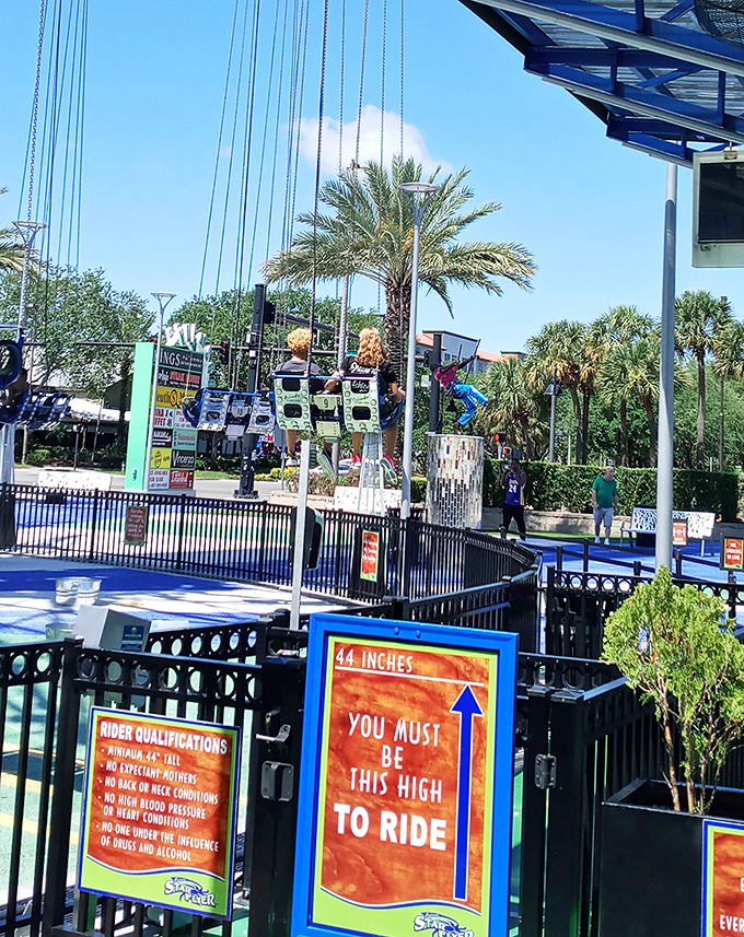 You must be this brave to ride – the sign that separates the thrill-seekers from those who prefer their adventures firmly grounded.