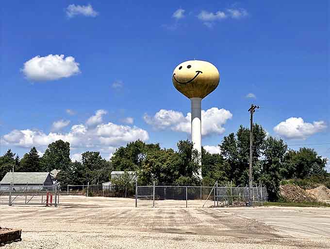On perfect blue-sky days, that yellow face pops with such vibrant intensity it's like the sun decided to hang out at eye level.