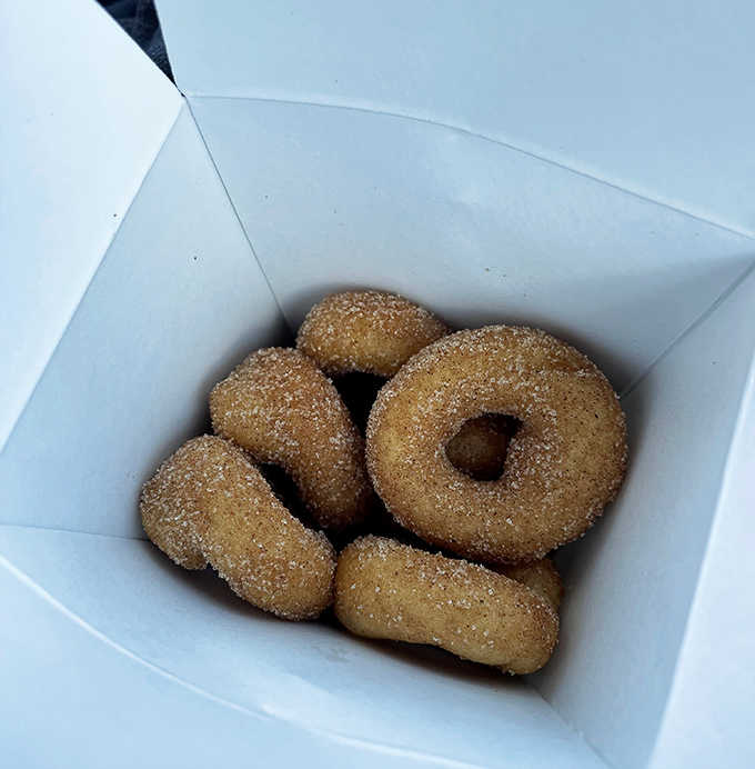These golden-brown beauties aren't just donuts &ndash; they're warm, sugar-dusted morsels of happiness that make the perfect coffee companion for your morning commute.
