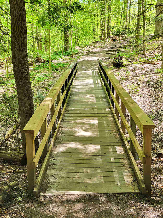 The wooden bridge invites hikers to pause mid-journey, offering a moment of reflection over gurgling waters below.