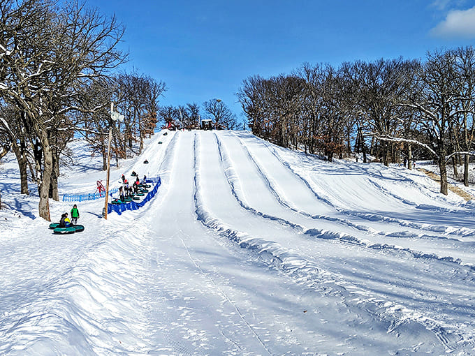 Winter transforms ordinary hills into snowy speedways, where children and adults alike rediscover the pure joy of gravity.