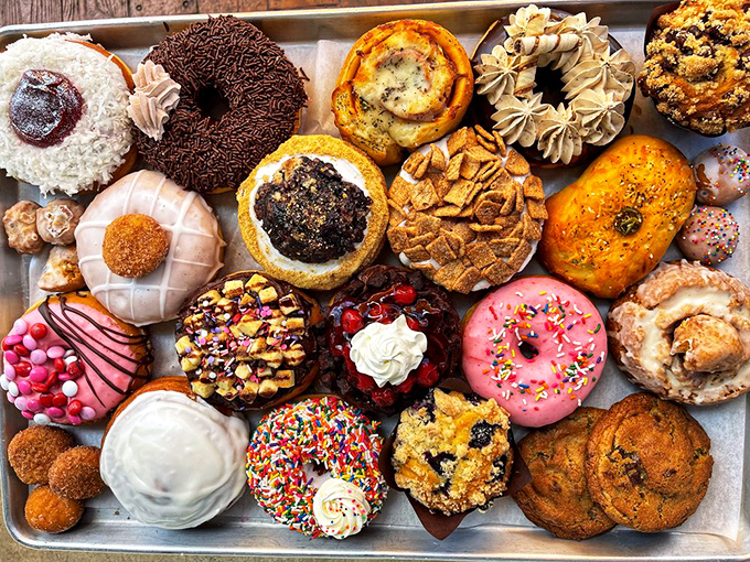 A treasure chest of doughnuts that would make pirates abandon gold for glazed – each one a different adventure waiting to happen.