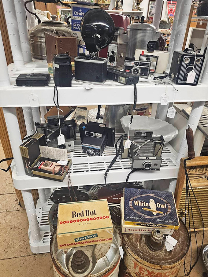 Vintage cameras line the shelves like mechanical time travelers, each one having captured moments from decades past.