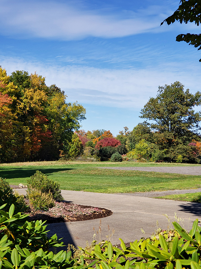 Open meadows provide a perfect contrast to forest adventures, with skies that seem to stretch forever.