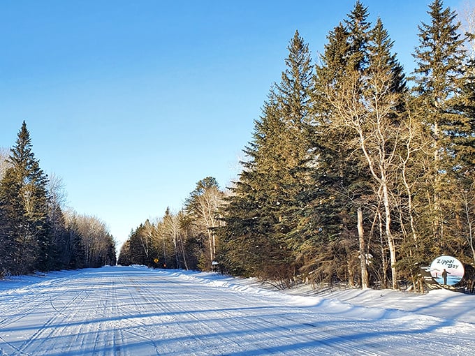 Winter transforms the park into a snowy paradise, offering completely different adventures for cold-weather enthusiasts.