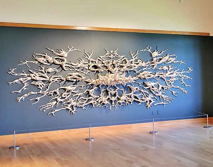 Amazing artwork: This mesmerizing wall sculpture resembles driftwood caught in an ocean current, its bleached branches reaching outward like coral formations frozen in time.