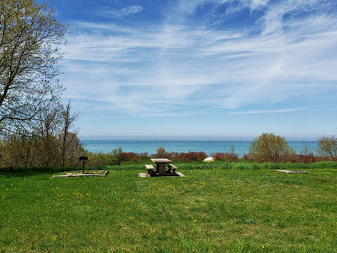 Lunch with a view that makes fast food drive-thrus weep with jealousy. Nature's dining room awaits.