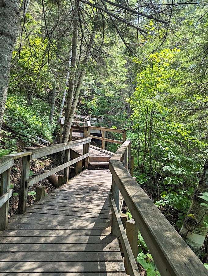 Boardwalk: This wooden pathway guides hikers through a lush forest setting, building anticipation with every step toward the mysterious falls.