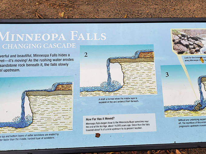 Nature's history lesson: this sign explains how Minneopa Falls is actually moving upstream over time, like a very, very slow game of geological leapfrog.