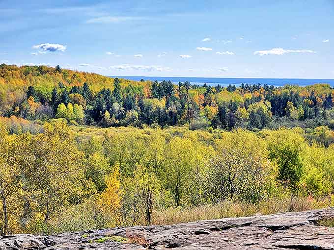 Fall transforms Hartley's forests into a painter's palette, where every shade of amber and gold competes for your attention.