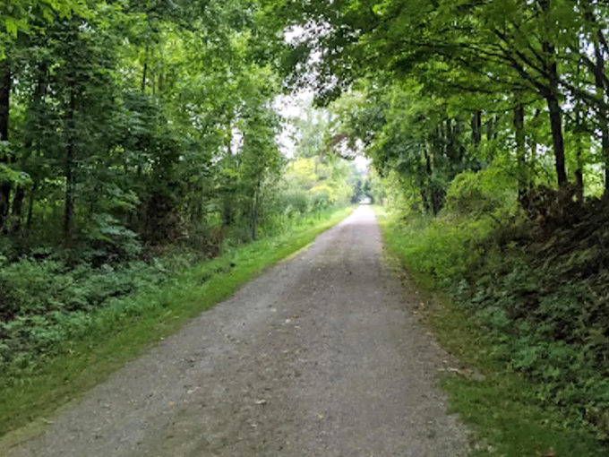 Nature provides the perfect backdrop for this hidden gem, where dappled sunlight filters through leafy canopies along the trail.