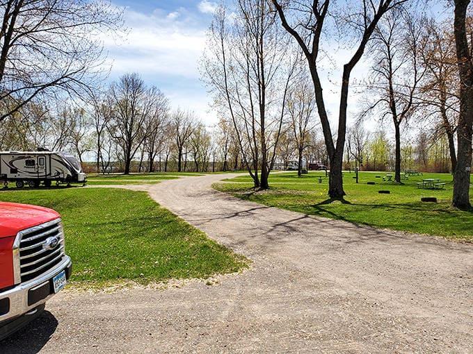 Dappled sunlight filters through a canopy of trees, creating nature's perfect dining room for afternoon sandwiches and morning coffee.