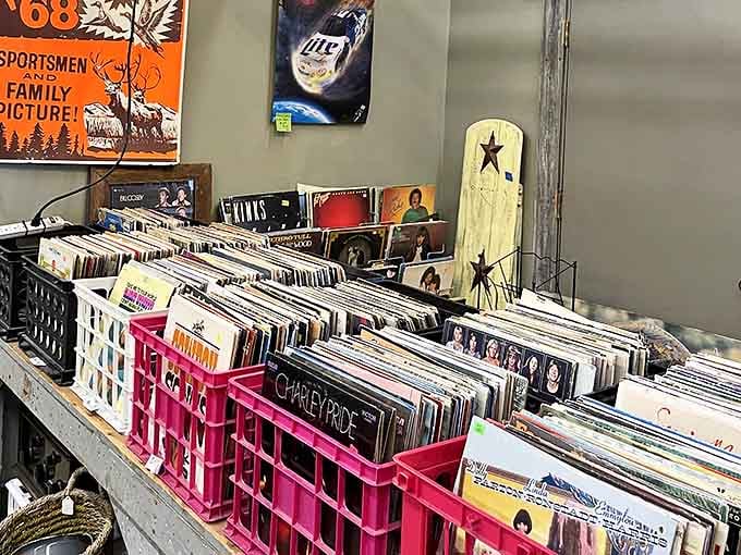 Vinyl enthusiasts can lose themselves for hours flipping through crates of albums spanning decades of musical history.