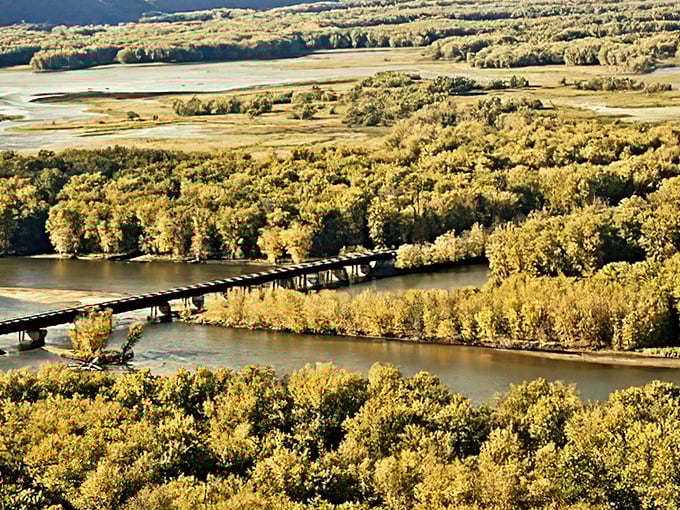 The Mississippi's complex ecosystem of islands and backwaters creates a paradise for wildlife and weekend explorers alike.