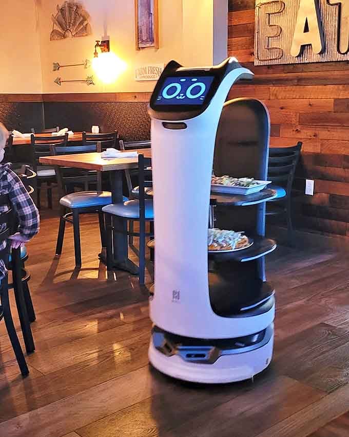 Meet your mechanical server! This high-tech helper navigates the dining room with surprising grace, delivering plates while stealing hearts.