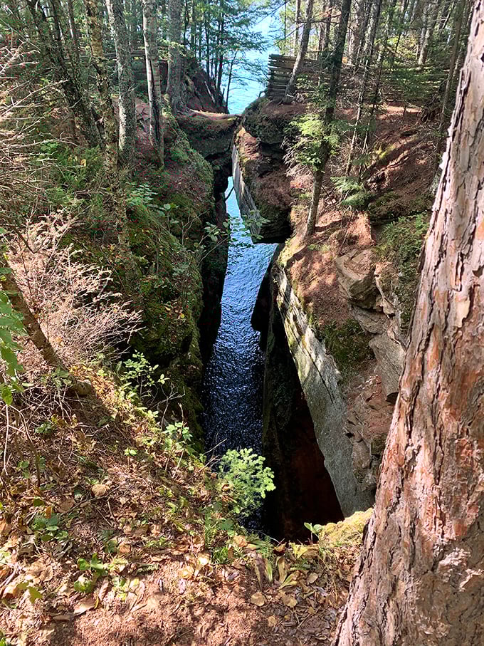 Peek into the abyss: This dramatic crevice shows Lake Superior's patient power, carving pathways through solid rock over countless millennia.