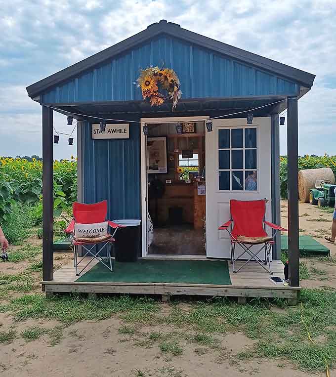 Stay Awhile isn't just a sign – it's an invitation to slow down and soak in the simple magic of this blue welcome shed.