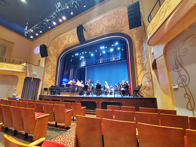 Musicians prepare for an orchestral performance, their instruments gleaming under stage lights that have illuminated countless memorable shows.