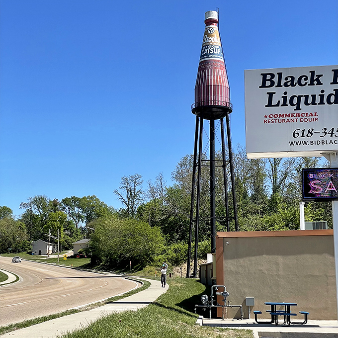 The perfect roadside companion: doesn't talk too much, always looks good in photos, and never asks "are we there yet?"