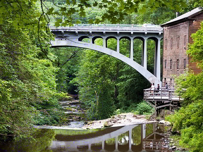 The elegant arched bridge offers visitors a perfect vantage point, connecting the urban world with this natural sanctuary.