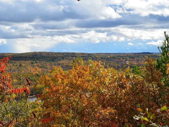 Fall's fiery palette transforms the landscape into a painting so perfect you'd swear Mother Nature was showing off just for you.