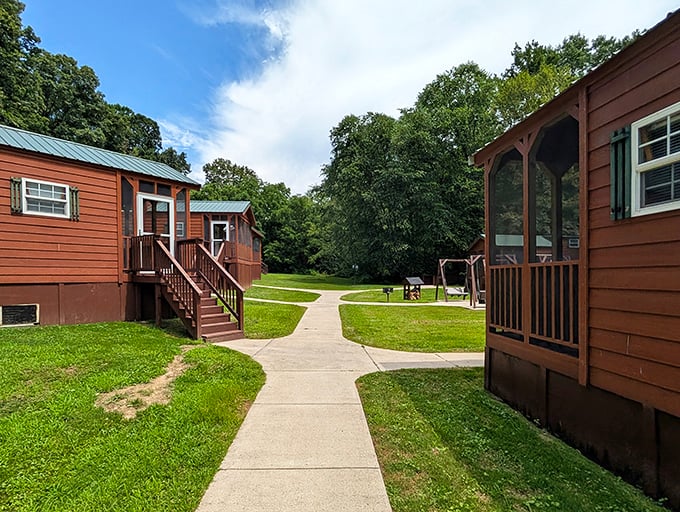 Charming cabins offer a more secluded retreat option, perfect for those who prefer their medieval fantasy with a side of privacy.