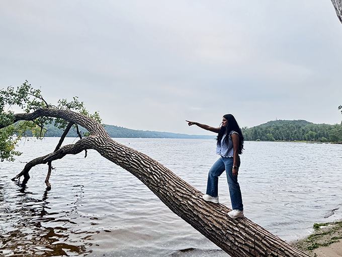 Nature's balancing act: a visitor finds the perfect perch on a fallen tree, pointing toward adventures waiting across the water.