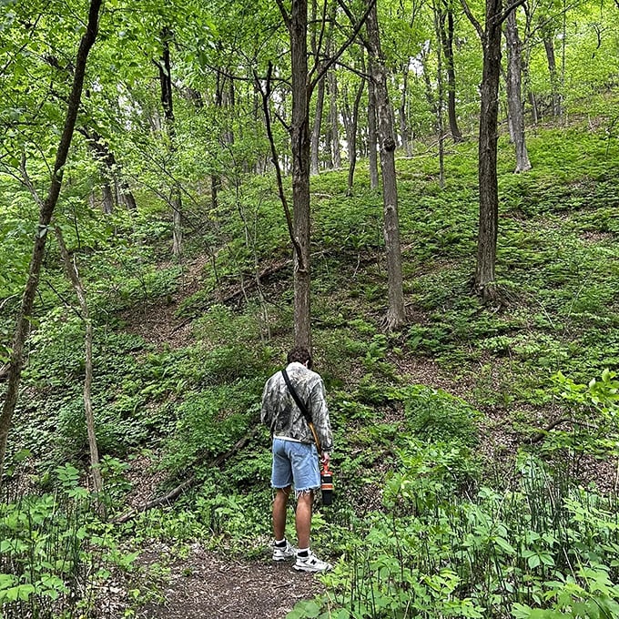 Lost in thought among whispering trees, this explorer reminds us that sometimes the best discoveries happen when we venture off-grid.