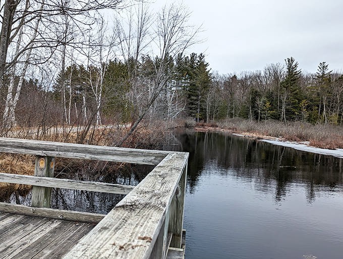 That bench overlooking the pond is basically nature's waiting room, except the view beats any magazine selection.