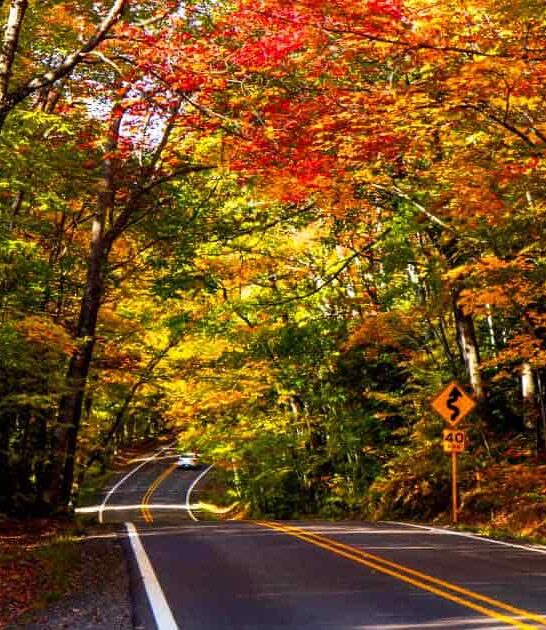 47 mile drive michigan ftr