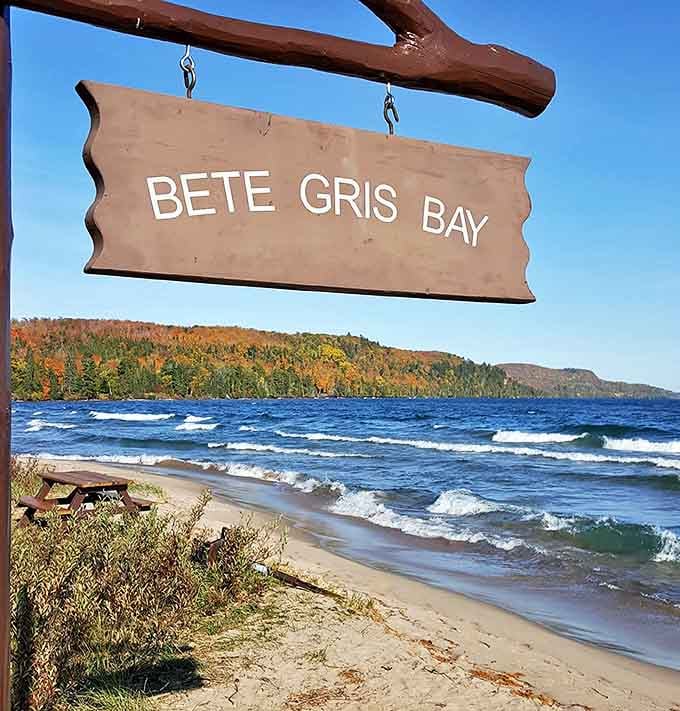 Autumn colors frame Bete Grise's shoreline, where Lake Superior's waves create a rhythmic soundtrack for beach wanderers.