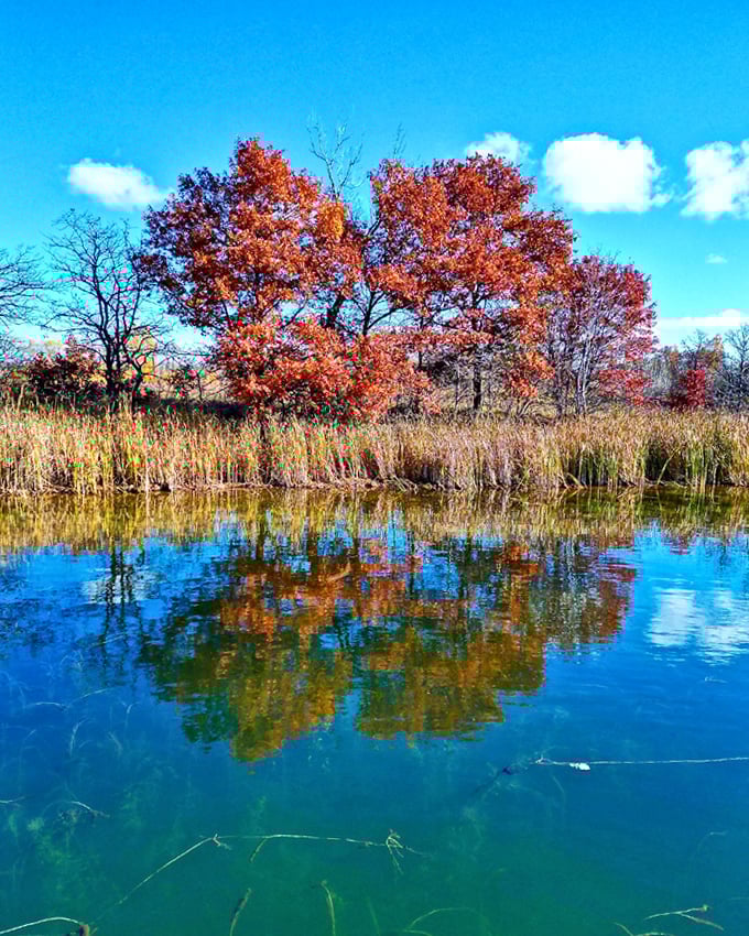 Fall in Minnesota isn't just a season&mdash;it's when trees dress in their Sunday best, showing off flame-colored finery reflected in crystal waters.