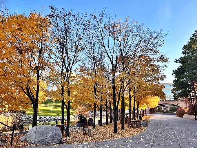 Fall transforms the park into a painter's palette, with golden trees creating a double feature as their fiery colors reflect perfectly in the still waters below.
