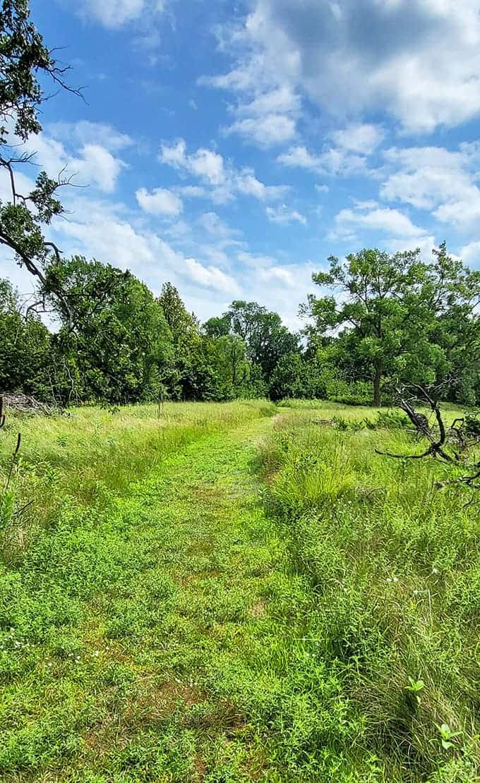 A simple dirt path winds through Glendalough's prairie, proving that sometimes the most memorable journeys don't require fancy infrastructure or admission tickets.