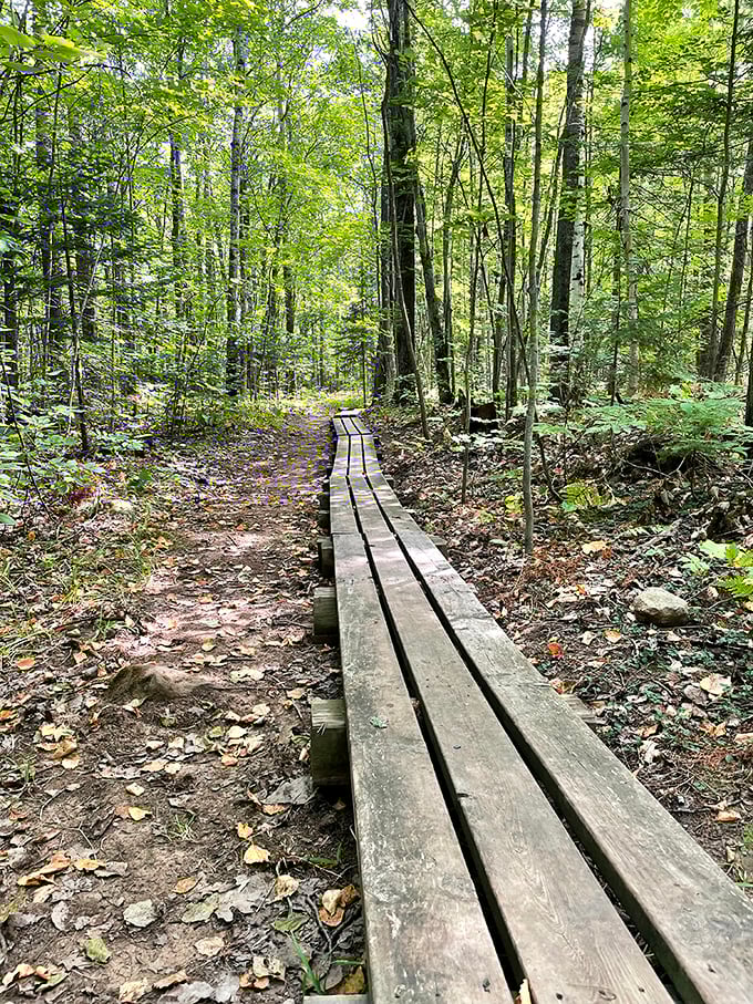 The Big Ravine's wooden boardwalk meanders through a forest straight from a storybook, where every step feels like you're deeper in enchantment.