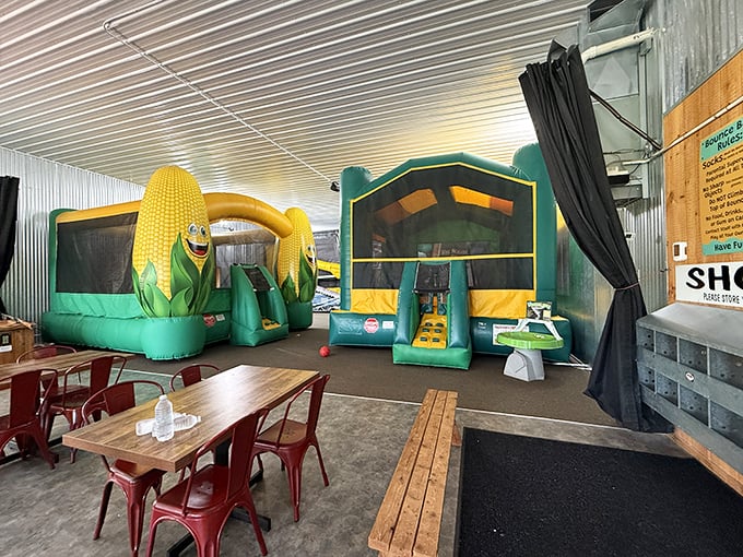 Indoor inflatable kingdoms where kids can literally bounce off the walls without anyone calling the homeowner's insurance.