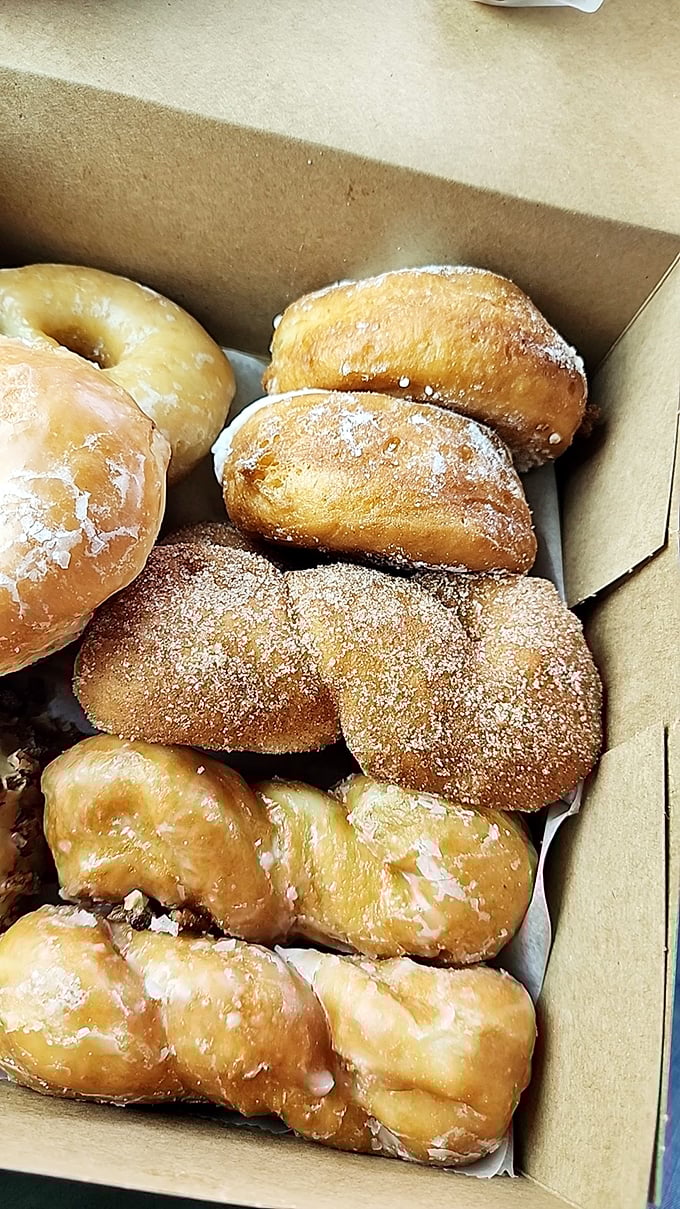 A box of Holtman's mixed donuts isn't just breakfast &ndash; it's a choose-your-own-adventure story where every ending is deliciously happy.