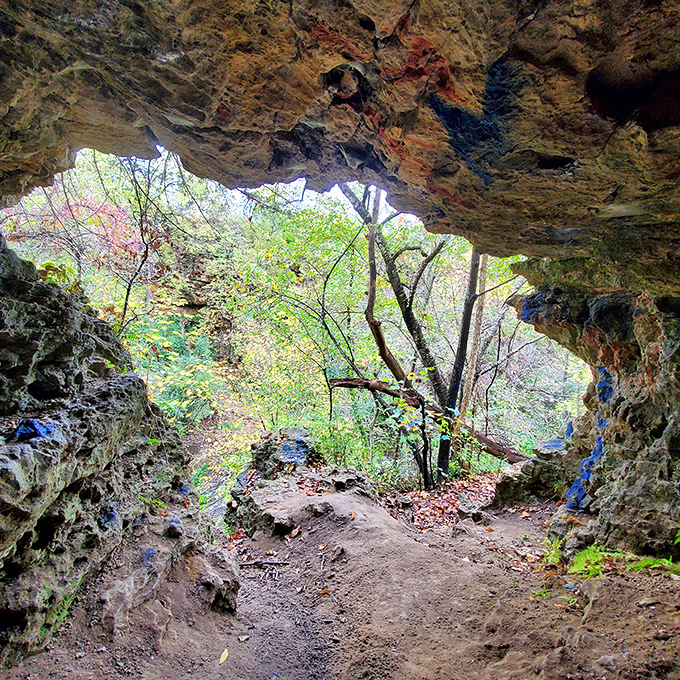 Nature's perfect frame: this cave opening reveals a secret view of the forest beyond, like peeking through time itself.