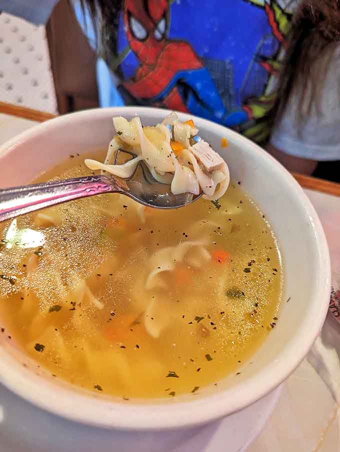 Chicken dumpling soup that could cure whatever ails you &ndash; tender chunks of meat swimming alongside vegetables in a broth that tastes like care.