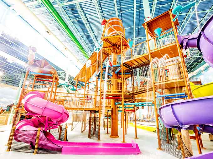 A kaleidoscope of waterslides twists and turns throughout the lodge, each tube promising a different flavor of aquatic adrenaline.