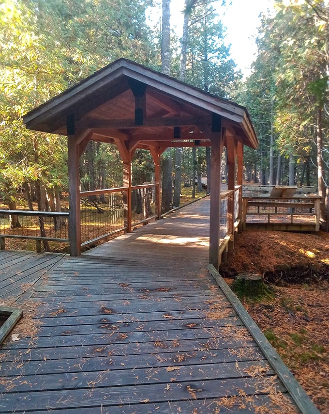 Sunlight filters through the wooden shelter, creating nature's perfect resting spot for weary hikers seeking a moment of contemplation.