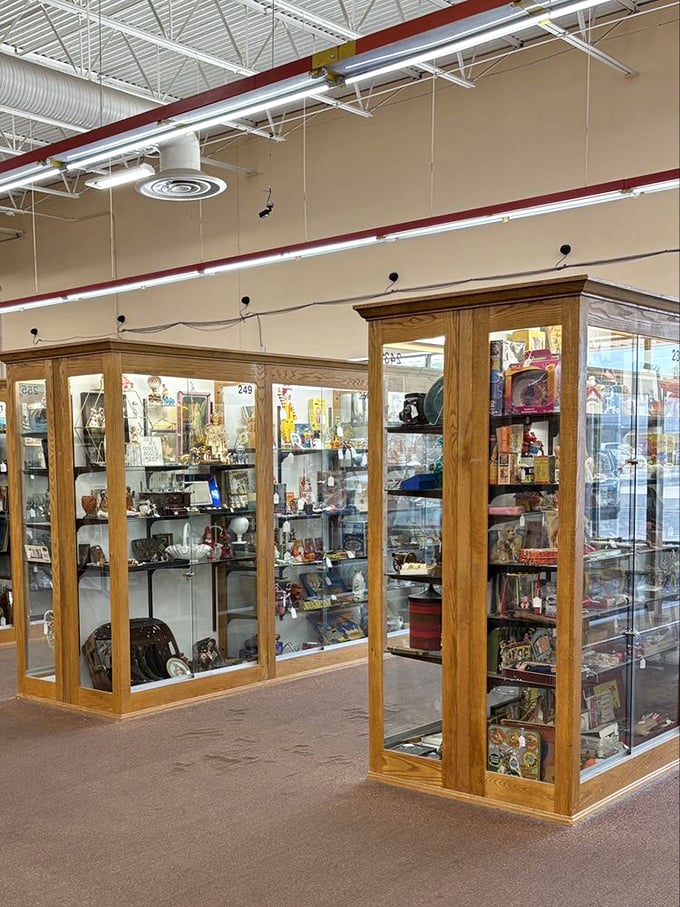 Display Cases: These glass sentinels guard the more precious treasures&mdash;jewelry, coins, and collectibles that sparkle with stories from the past.