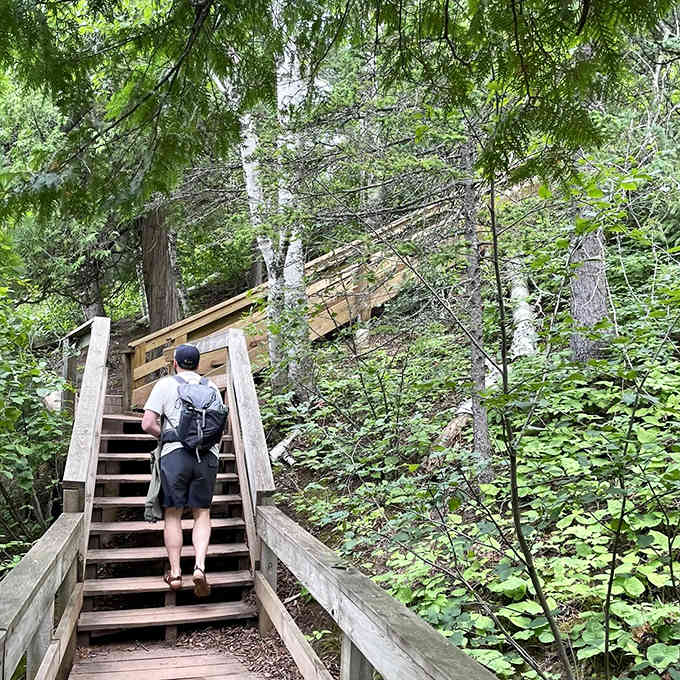 The well-maintained trail invites hikers of all abilities, with pine-needle cushioned paths that wind through Minnesota's northern forest paradise.