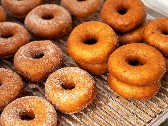 Fresh from their oil bath, these donuts glisten with promise, waiting for their final sugar costume before meeting their adoring fans.