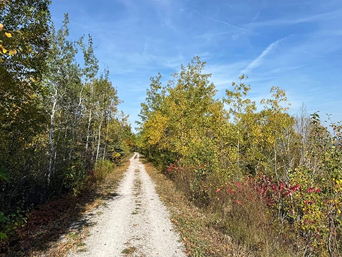 Sometimes the best recipe for happiness is just putting one foot ahead of the other on nature's perfect path.