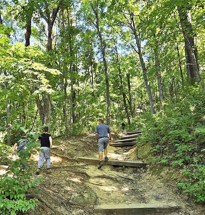 Sometimes the best conversations happen on trails, where the only interruptions come from birds and the occasional ambitious squirrel.